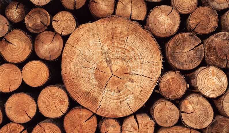 Divisions & Departments | KFRI